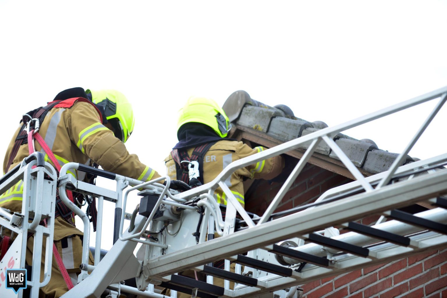 Brandweer redt zwaluw in Nederweert-Eind