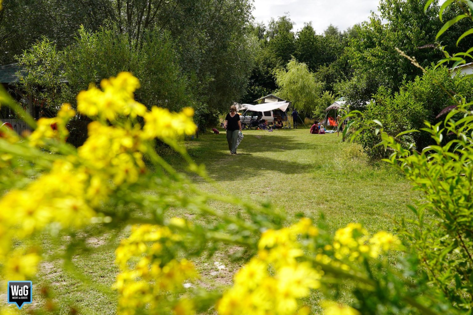 Camping Oergezellig in Stramproy: een familiecamping met een groene missie