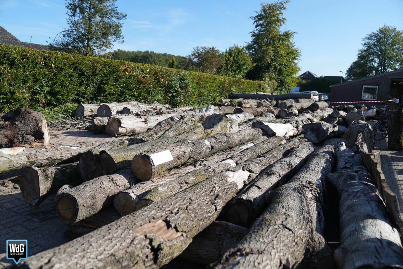 Bij Weerterlandhout zijn ze uit het goede hout gesneden