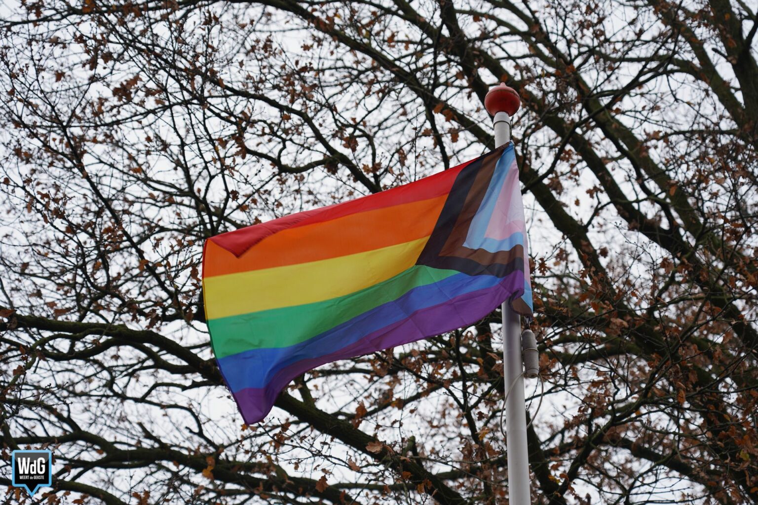 Paarse Vrijdag: in het paars naar school