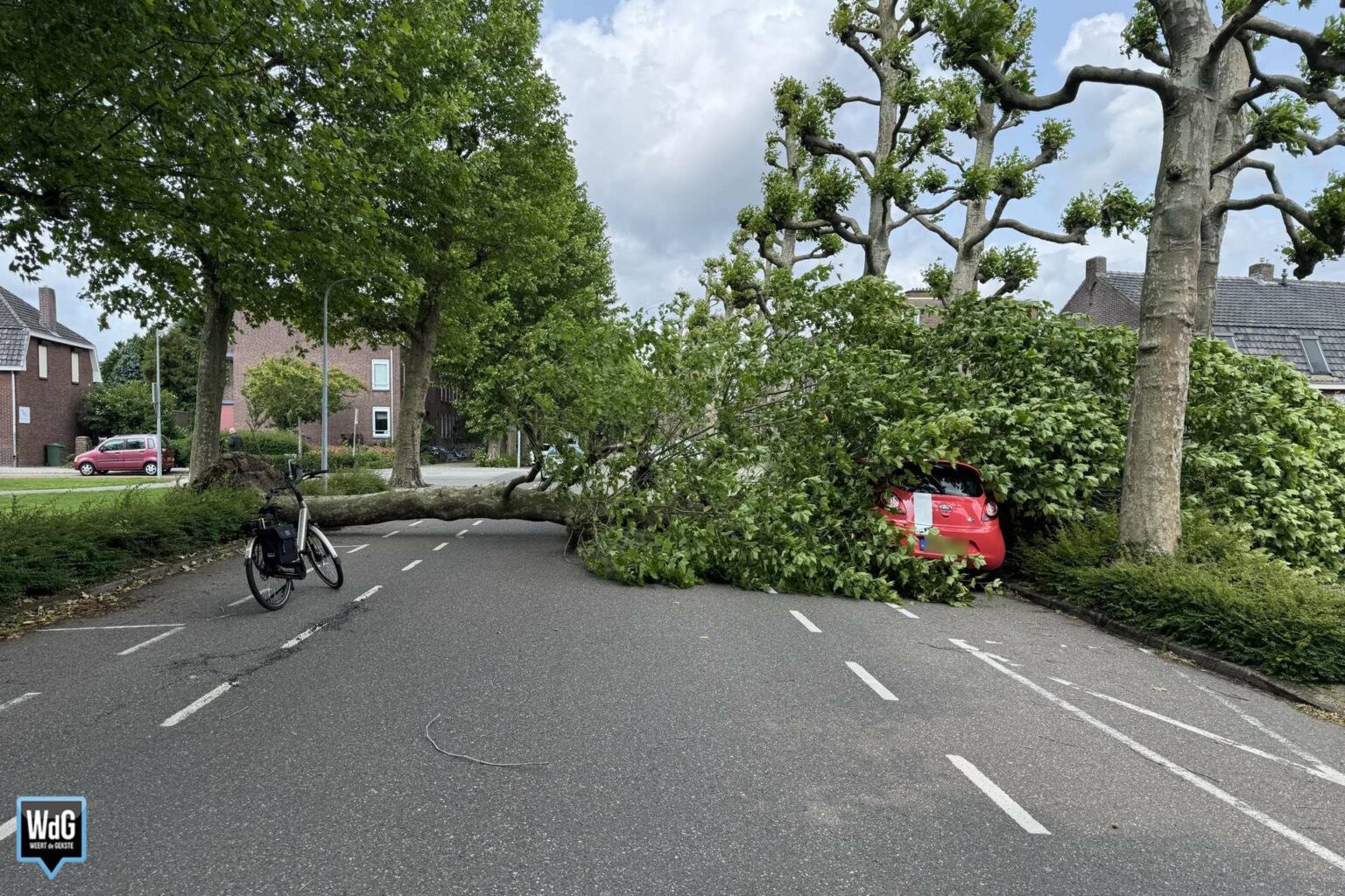 Boom valt op auto aan Sint Jozefslaan