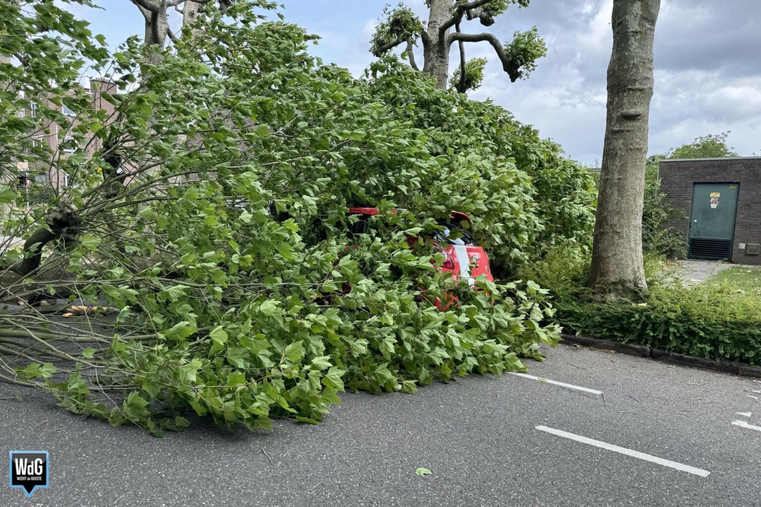 Boom valt op auto aan Sint Jozefslaan