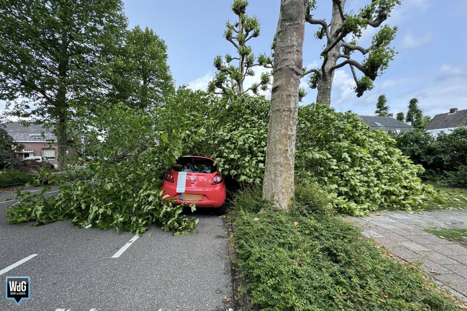 Boom valt op auto aan Sint Jozefslaan